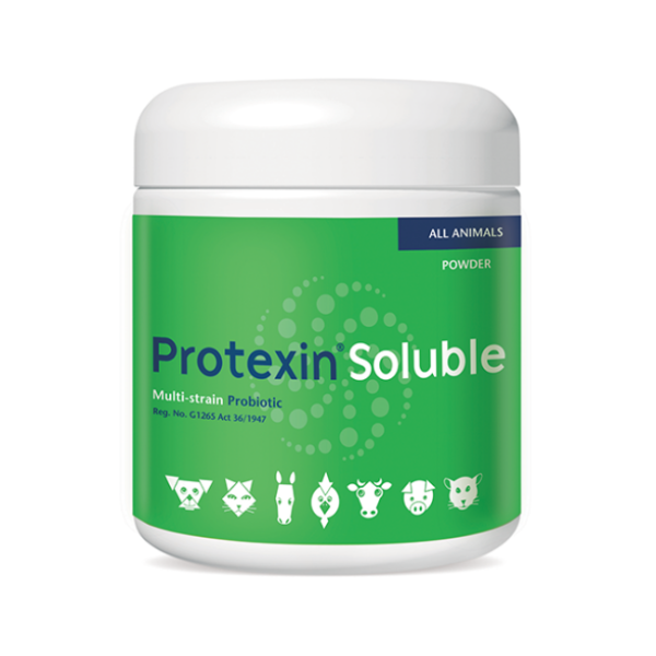 Protexin Soluble Probiotic 250g - Pets for Homes